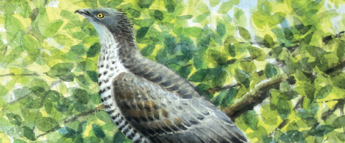 The new Birds of Nottinghamshire | Liverpool University Press Blog